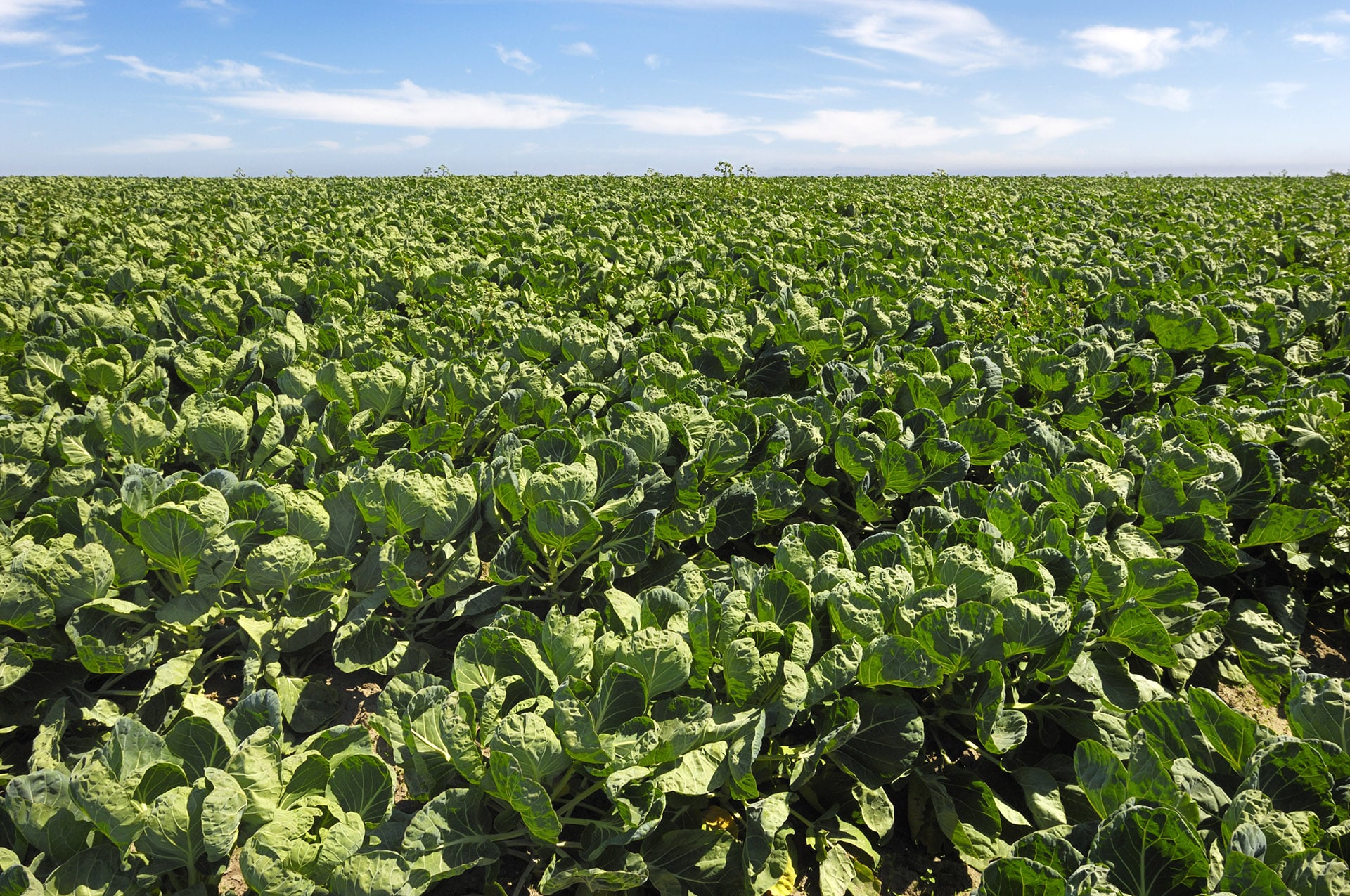 Santa Cruz LAFCO | Local Agency Formation Commission